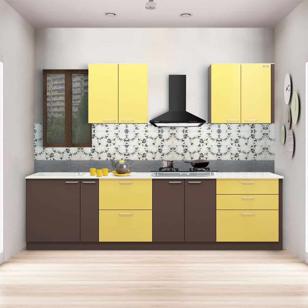 Straight - Regalia Scientific - Welcome to our official site